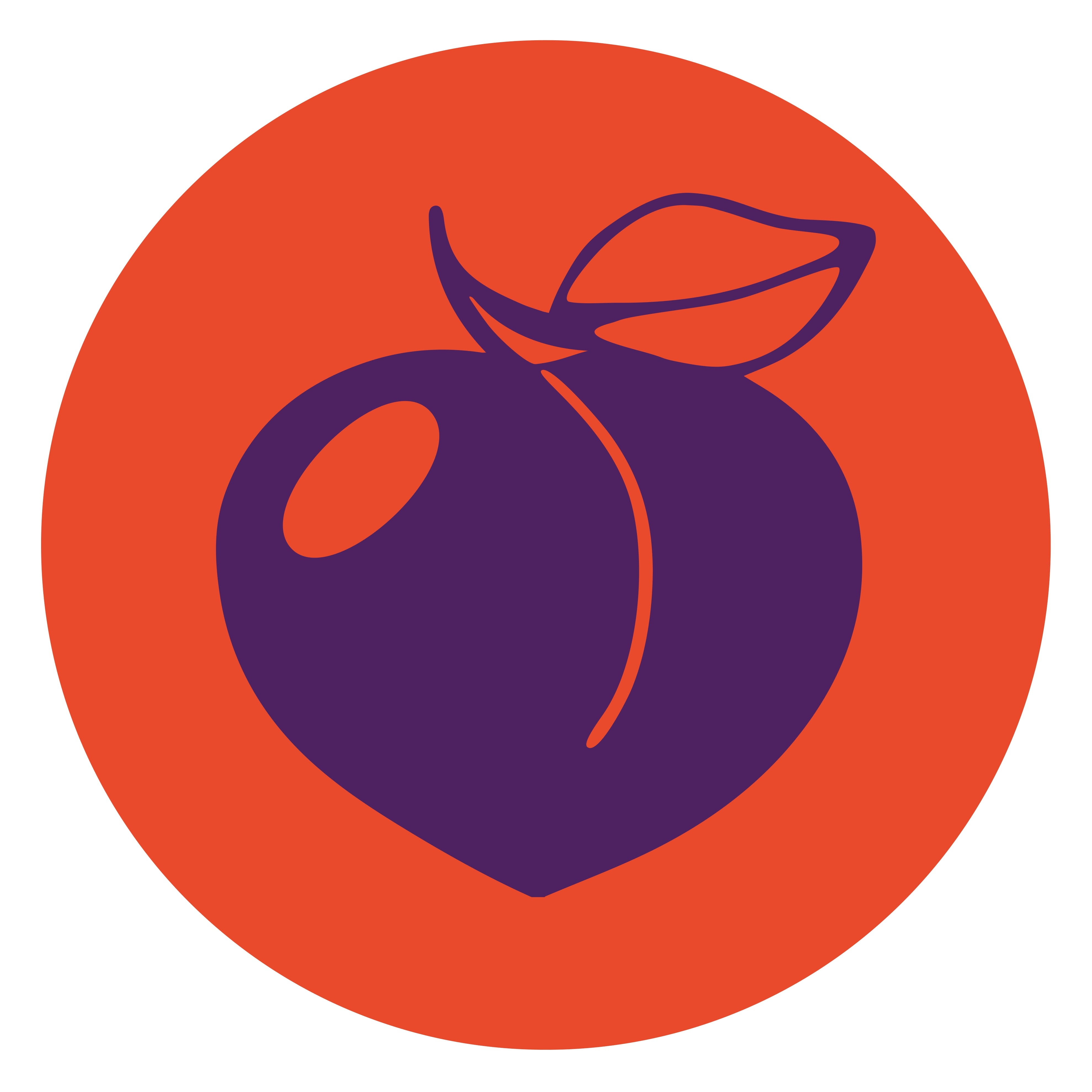 About Pich Games - Innovators in Educational Board Games – pichgames